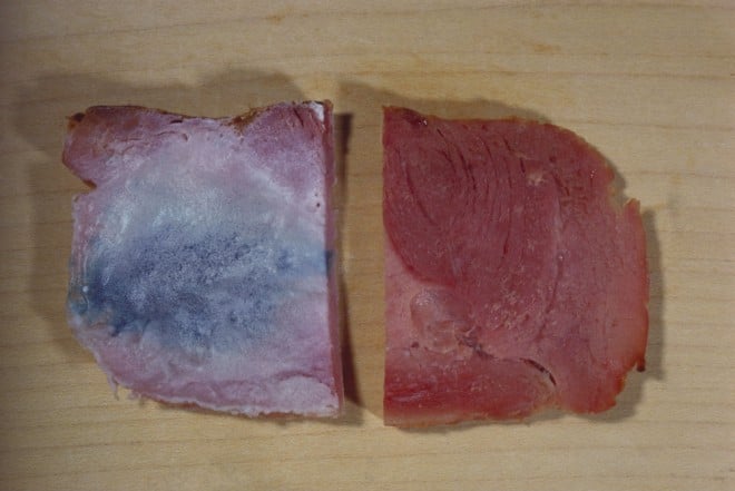 Prevent food spoilage—save up to $200