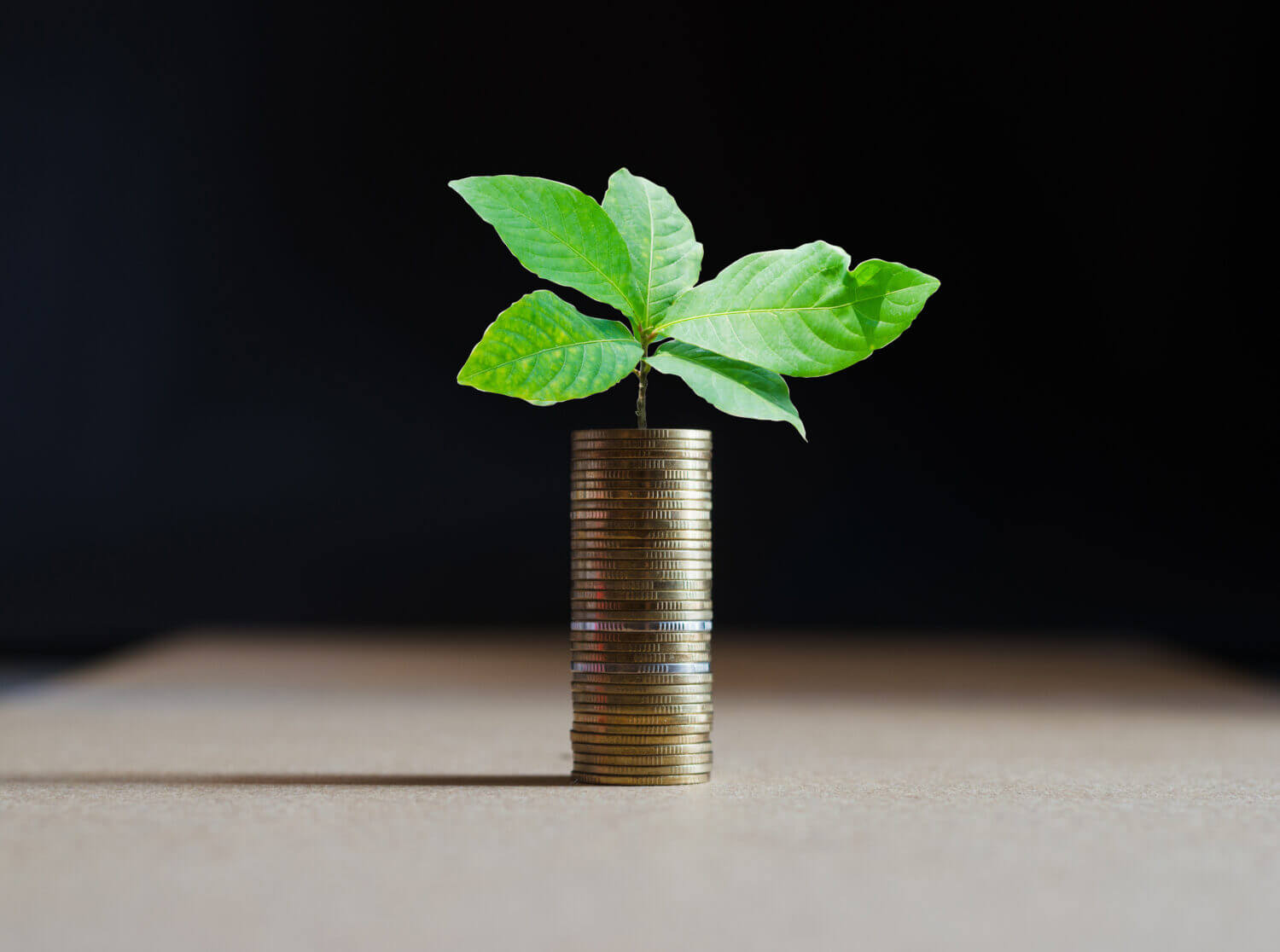 Which Fixed income ETFs Are Best For RRSPs MoneySense Which Fixed income ETFs Are Best For RRSPs MoneySense
