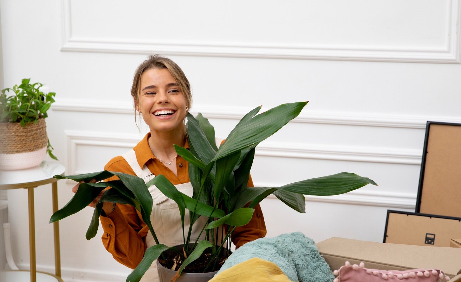 Your FHSA timeline: What to invest in and when - MoneySense