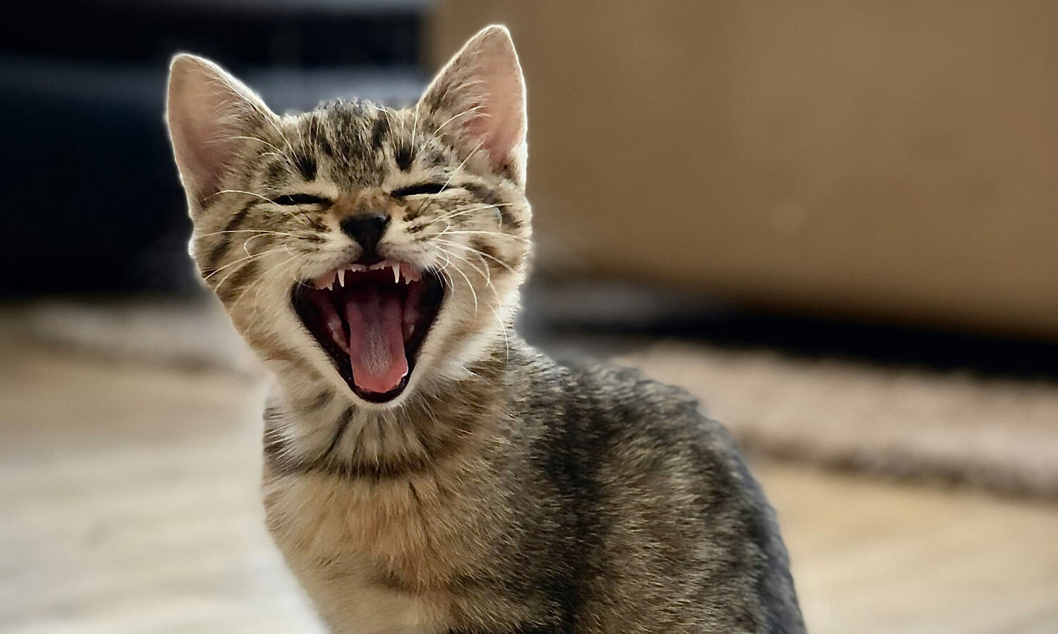 Making sense of the markets this week: May 19, 2024 - MoneySense