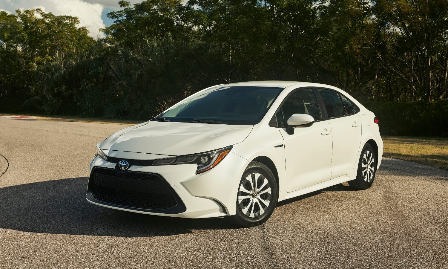 Best used cars in Canada for 2025 - MoneySense