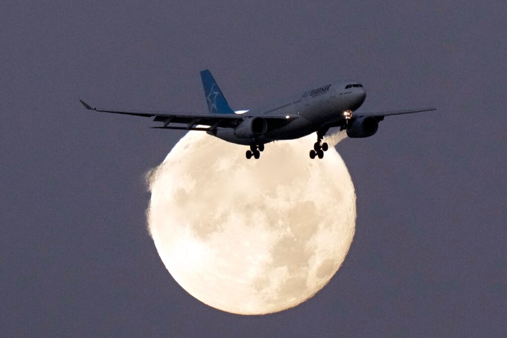 Webull Canada Review 2024 - MoneySense